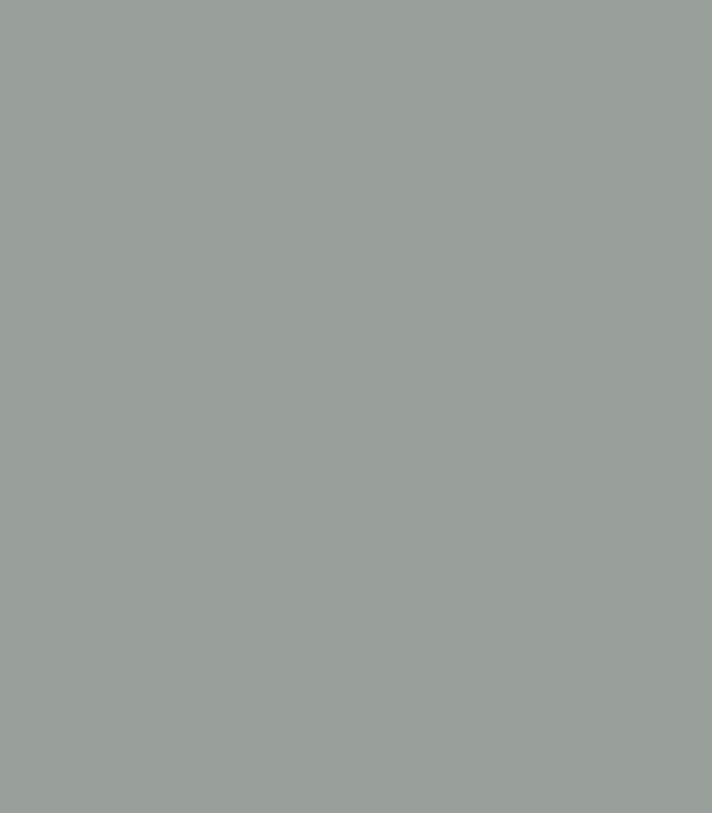 Ash Grey Exact Match Solid Exclusive Print – Olga's Closet